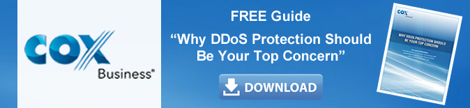 Why DDoS Protection Should Be Your Top Concern Why DDoS Protection Should Be Your Top Concern